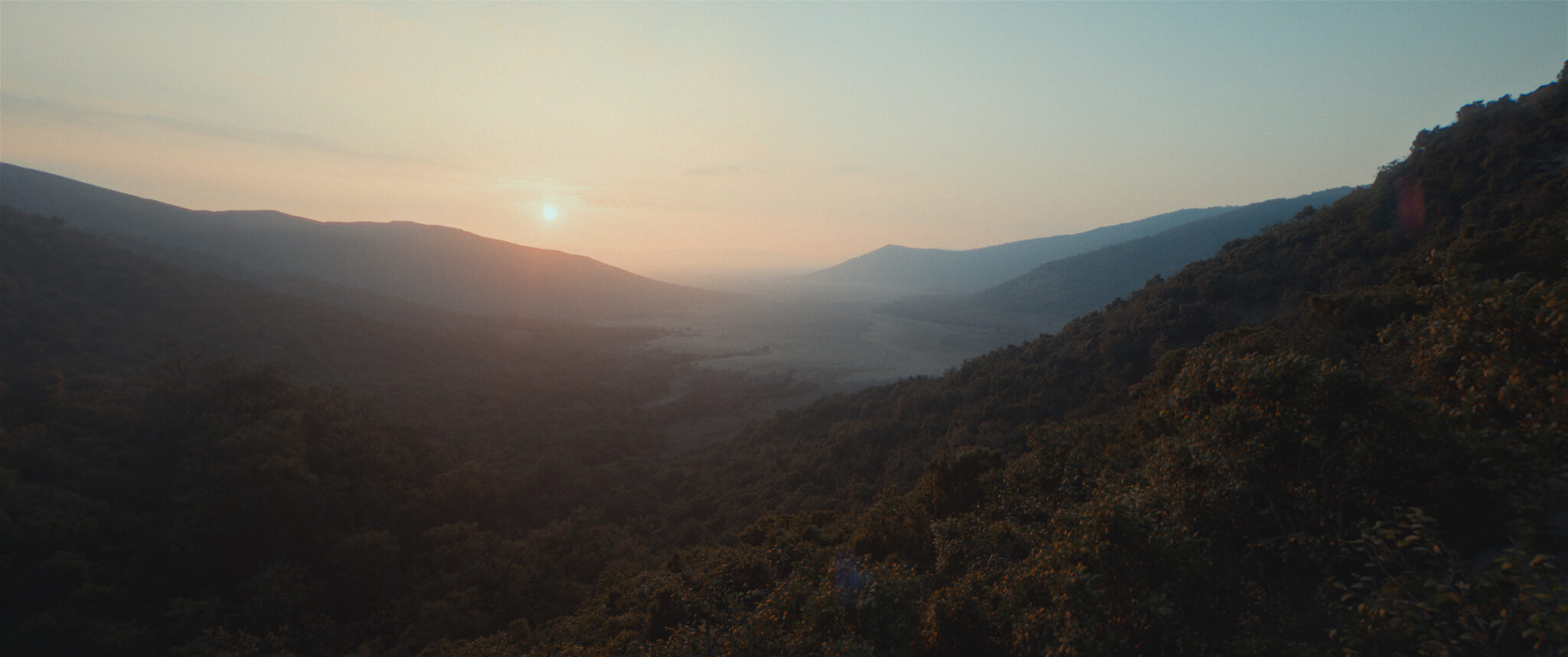 Gaea 2 向けの新プラグイン「Gaea2Houdini」のご紹介 | インディゾーンHoudini情報日本語ブログ